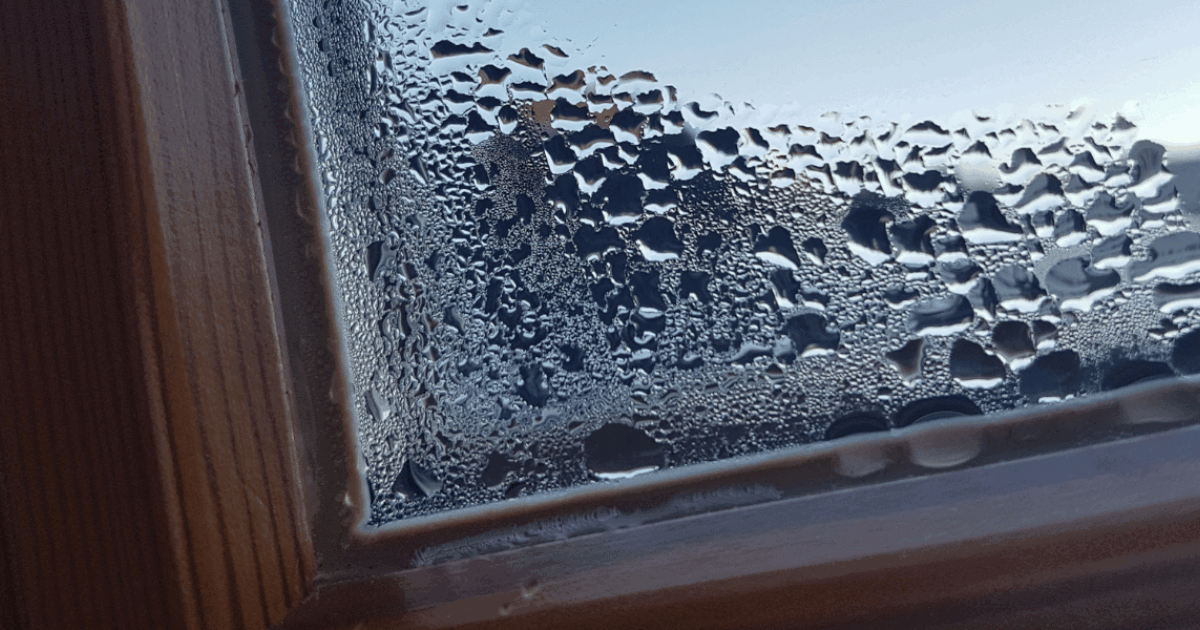 Top Signs Your Home Has Moisture Issues | Focus on Energy