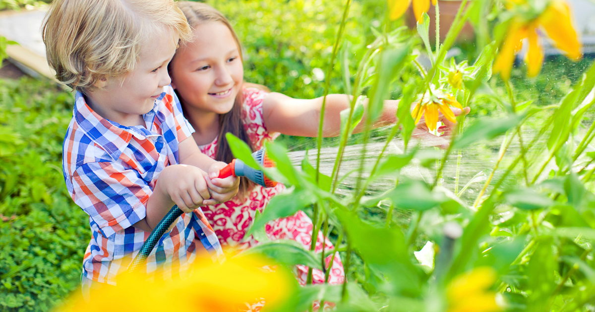 Summer Energy Savings Tips for Your Home and… | Focus on Energy